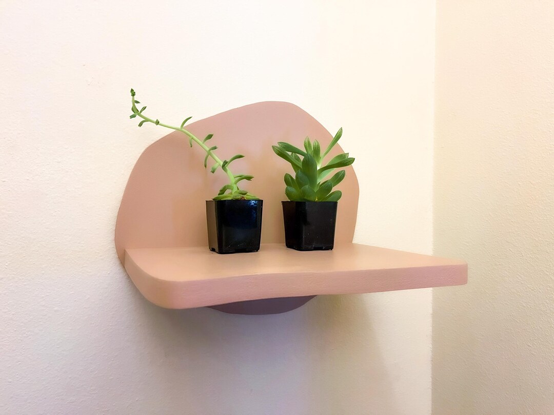 Funky Shelves, Colorful Home Design, Plant Shelf, Bookshelf - Etsy