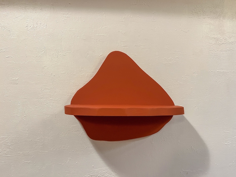 Decorative Wall Shelf, Abstract Shapes, Colorful and Wavy Plant Shelves ...