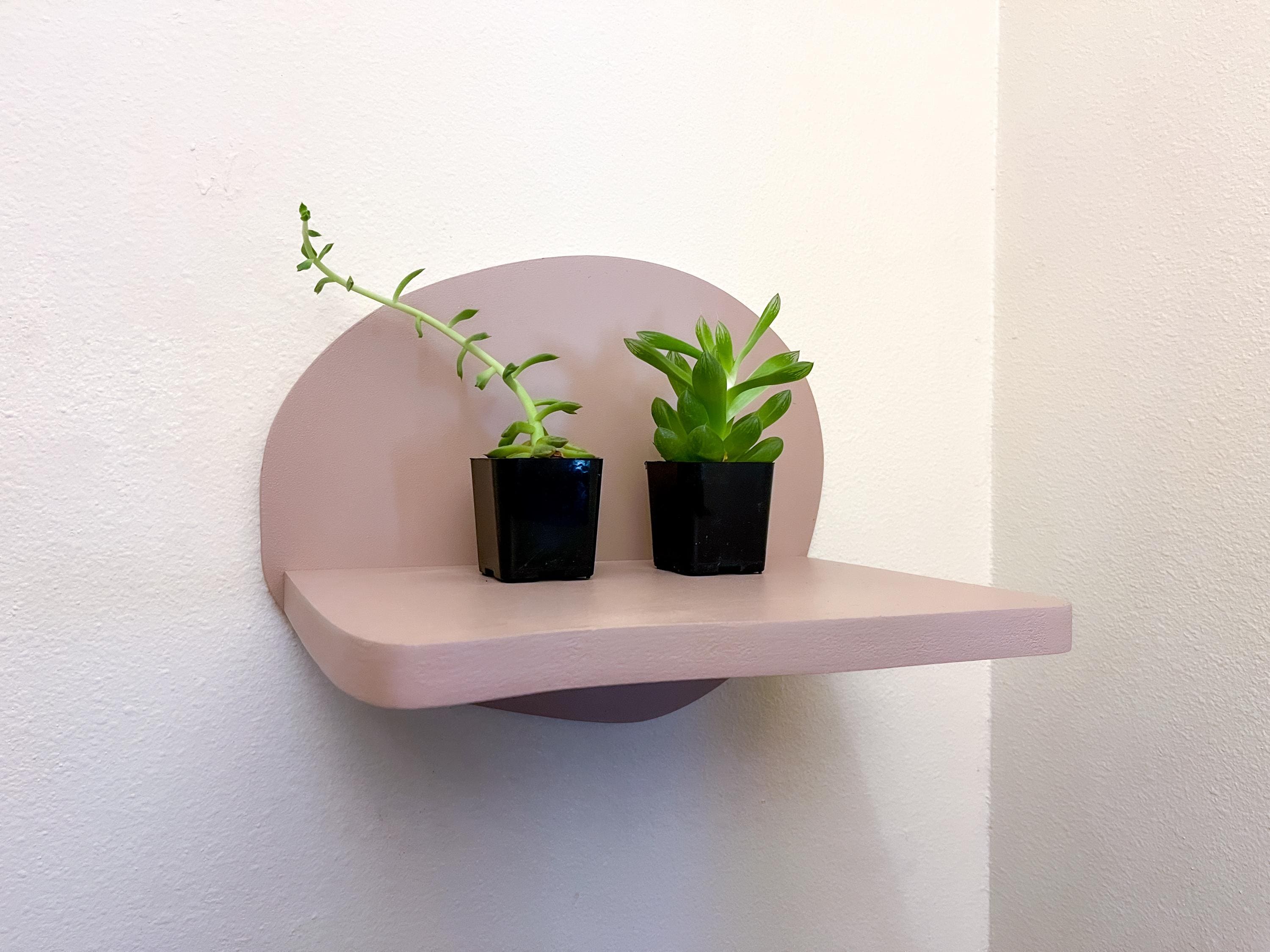 Decorative Shelf Shapes for Wall Storage, Plants, Books, Succulents and ...