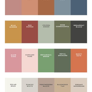 Decorative Shelf, Abstract Shape Colorful Wavy Shelves, Wall Decor ...