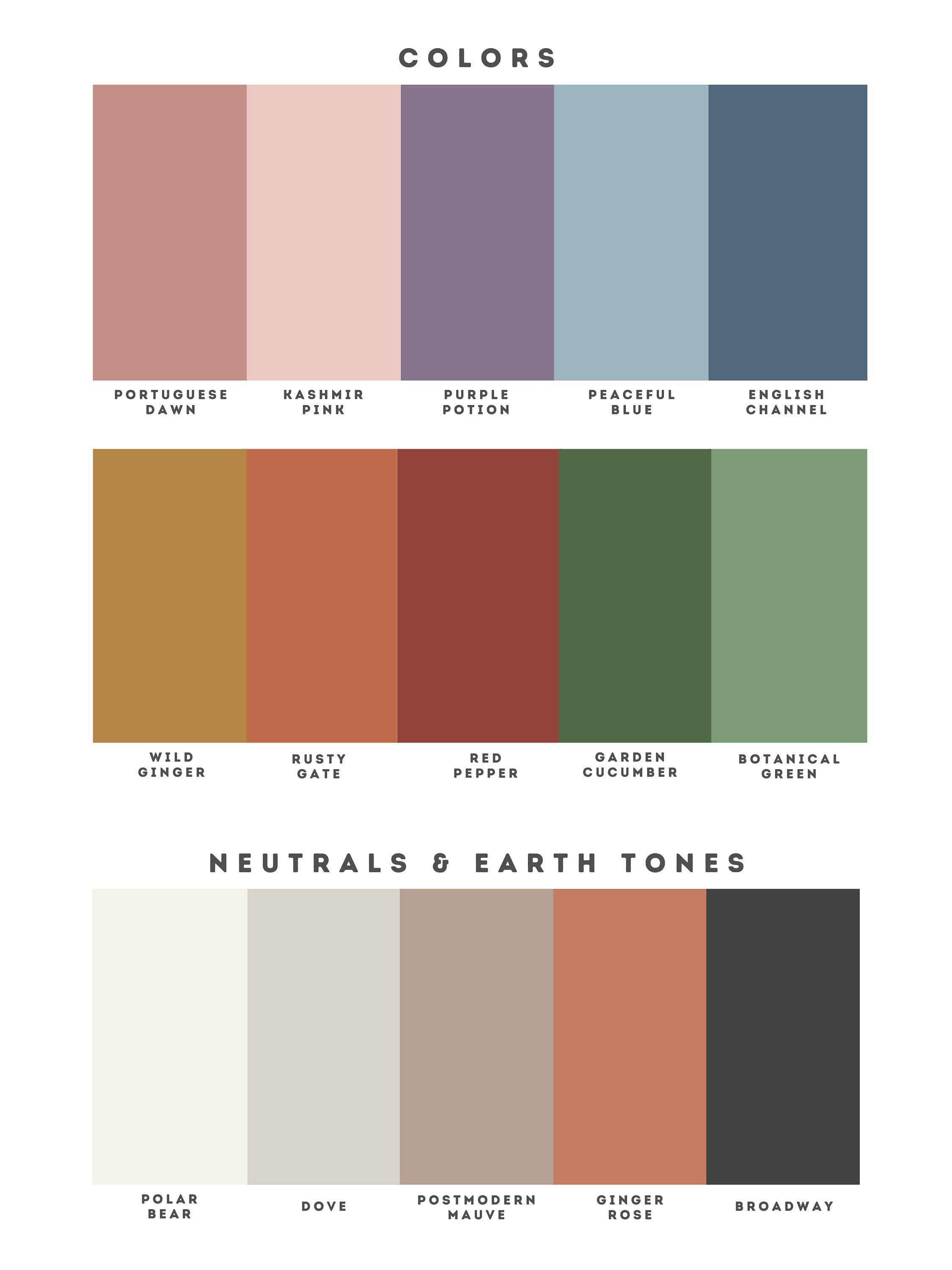 Decorative Shelf, Colorful Succulent Shape, Wavy Wall Decor, Squiggle ...