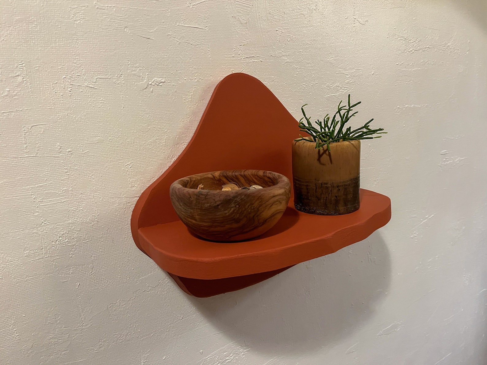 Decorative Wall Shelf, Abstract Shapes, Colorful and Wavy Plant Shelves ...