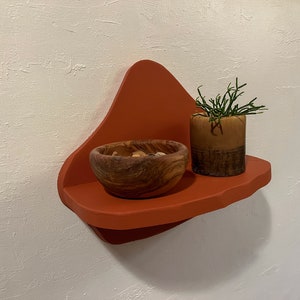 Decorative Wall Shelf, Abstract Shapes, Colorful and Wavy Plant Shelves ...