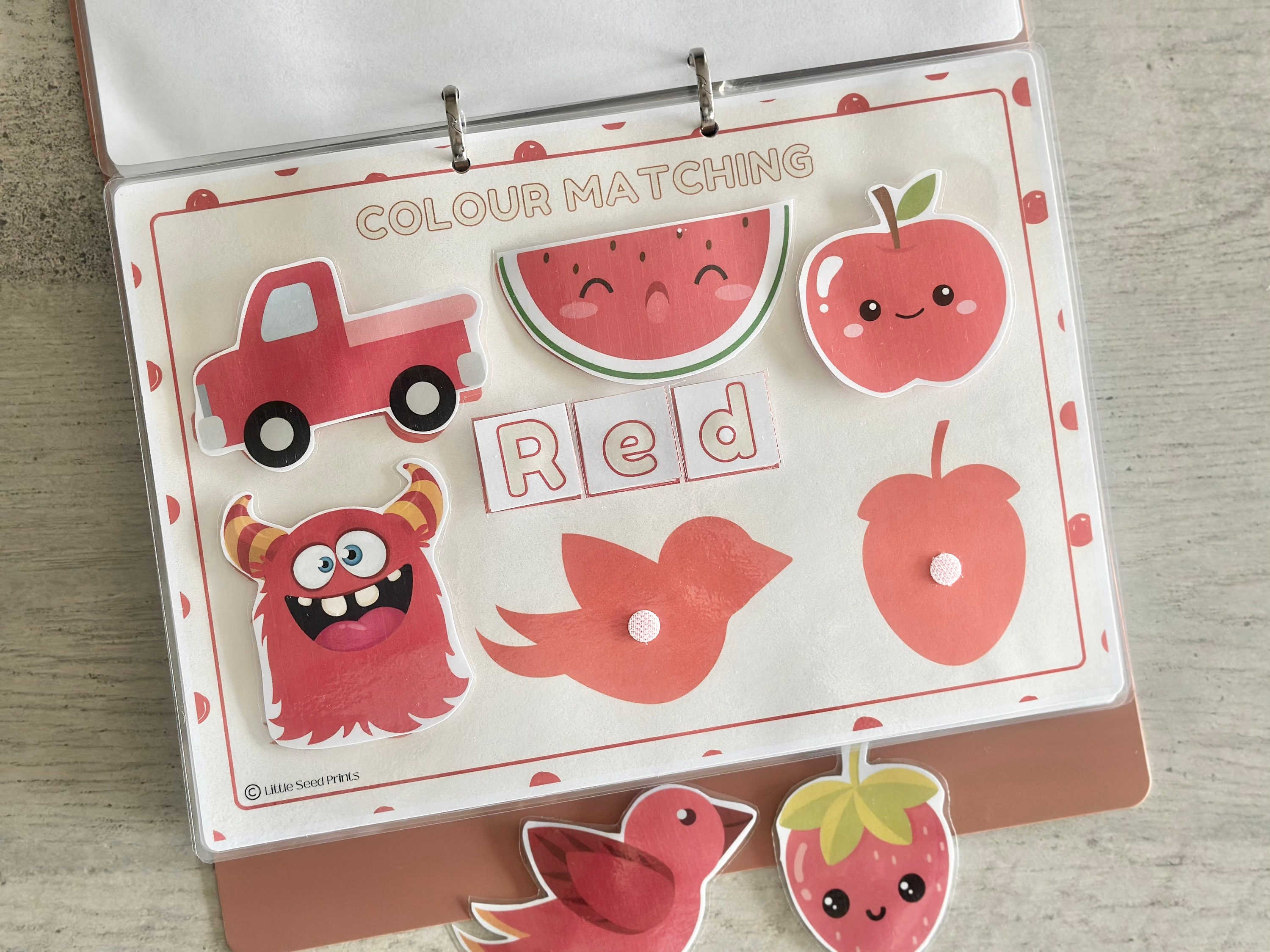 Colour Sorting Busy Book Printable Preschool Color Activity Homeschool ...