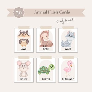 Animal Printable Flash Cards Toddler Resources Preschool Activities ...