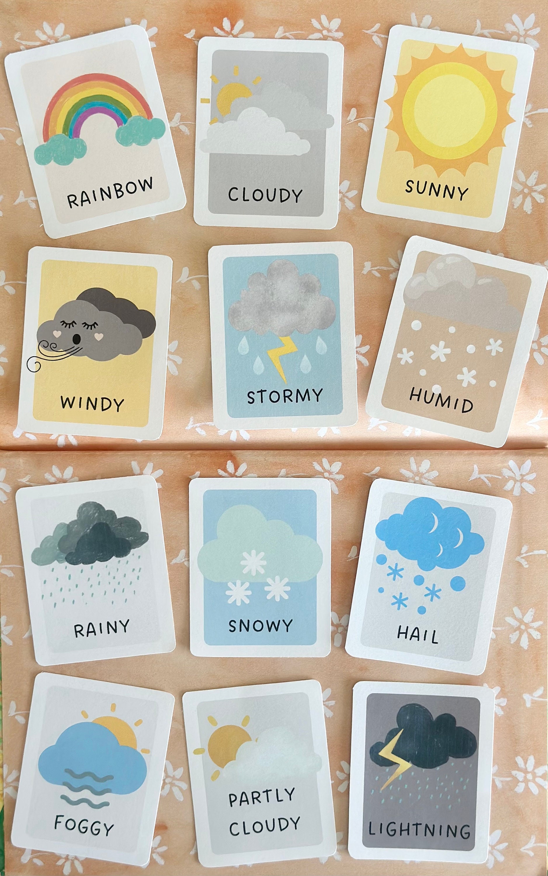 Weather Printable Flash Cards Preschool Resources Homeschool Materials ...