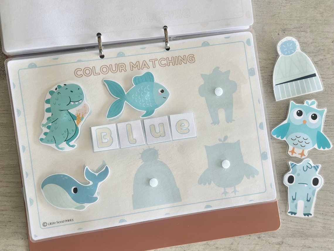 Colour Sorting Busy Book Printable Preschool Color Activity Homeschool ...