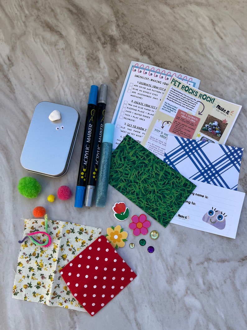 Pet Rock Activity Kit, Kids Party Favor - Etsy