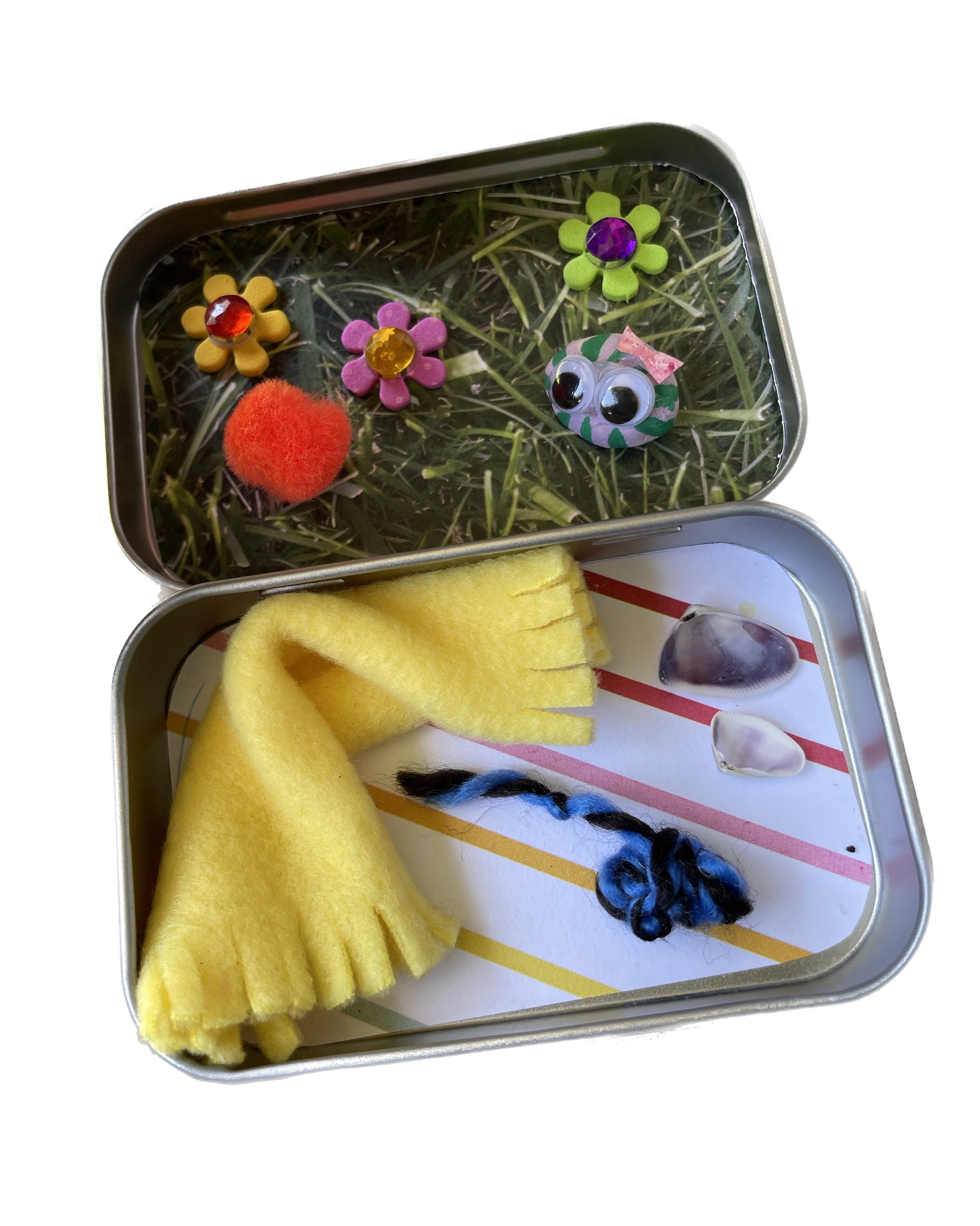 Pet Rock Activity Kit (party Favor, Party/group Activity, Activity Kit ...