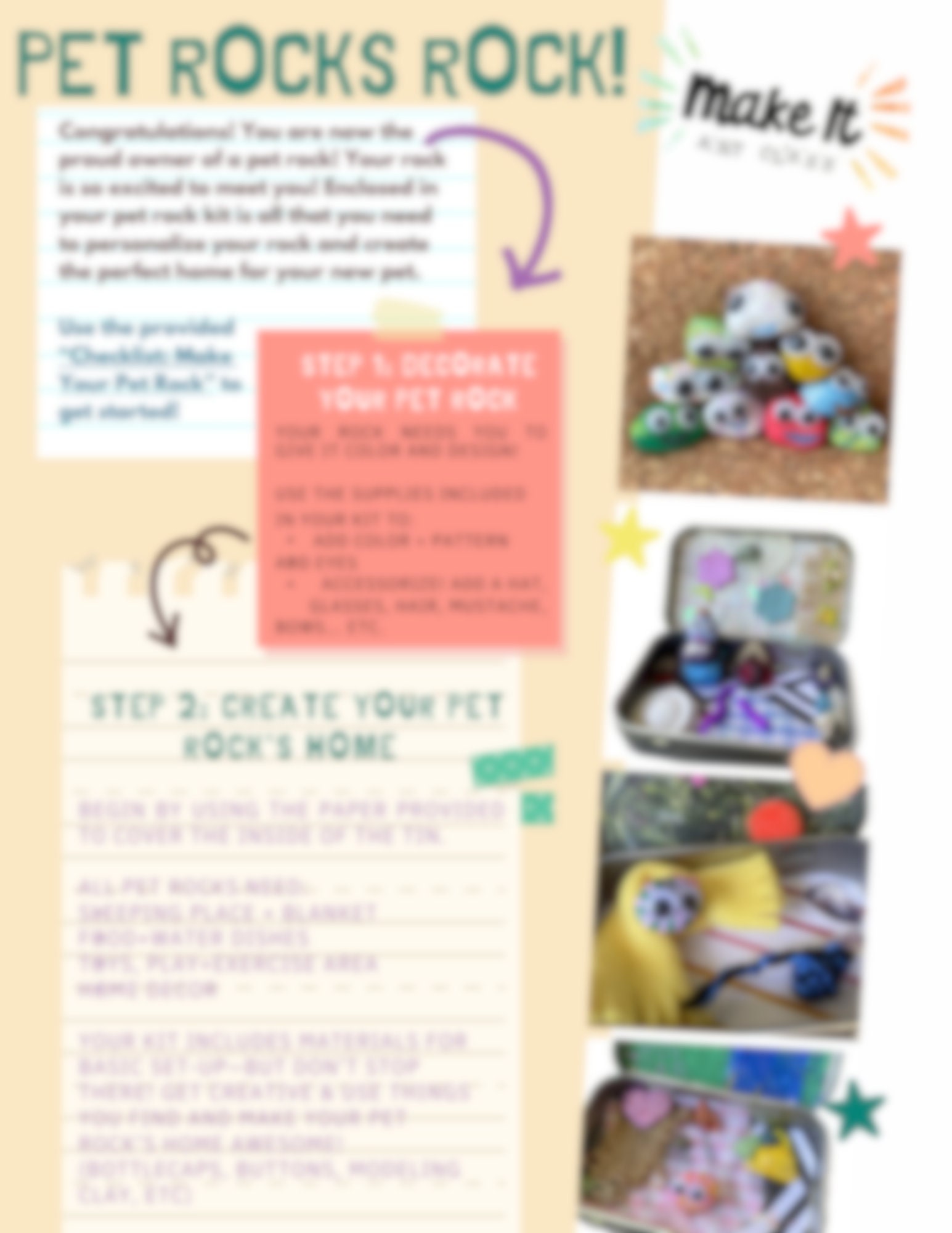 Pet Rock Activity Kit Digital Download - Etsy