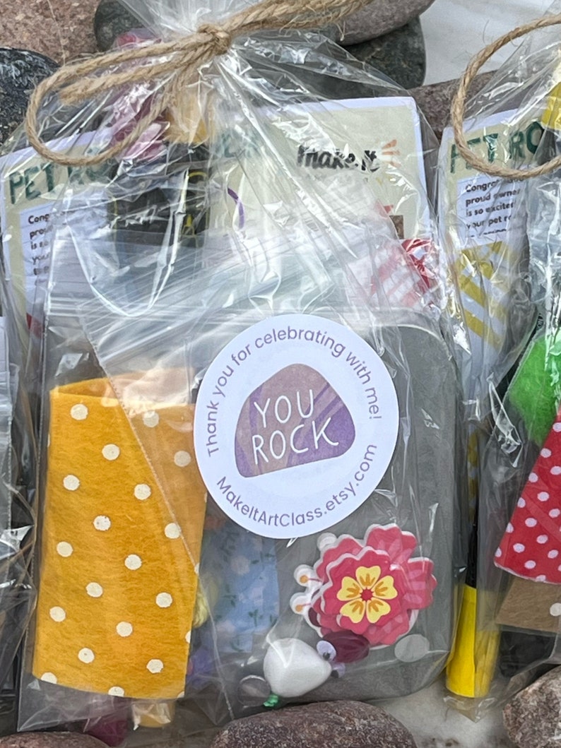 Pet Rock Activity Kit, Kids Party Favor - Etsy