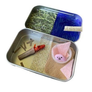 Pet Rock Activity Kit (party Favor, Party/group Activity, Activity Kit ...