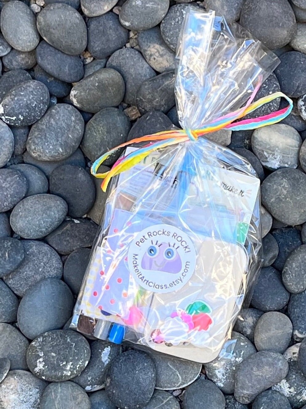 Pet Rock Activity Kit, Kids Party Favor - Etsy
