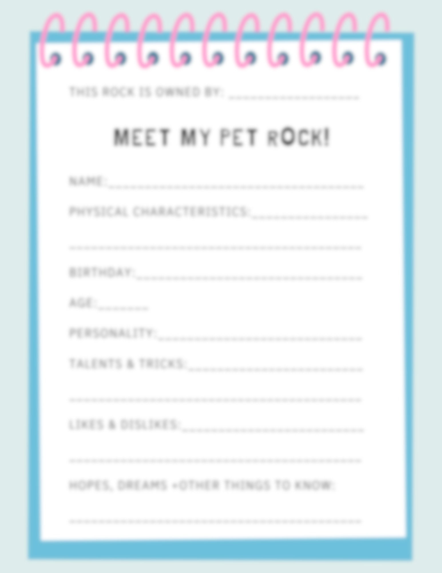 Pet Rock Activity Kit Digital Download - Etsy