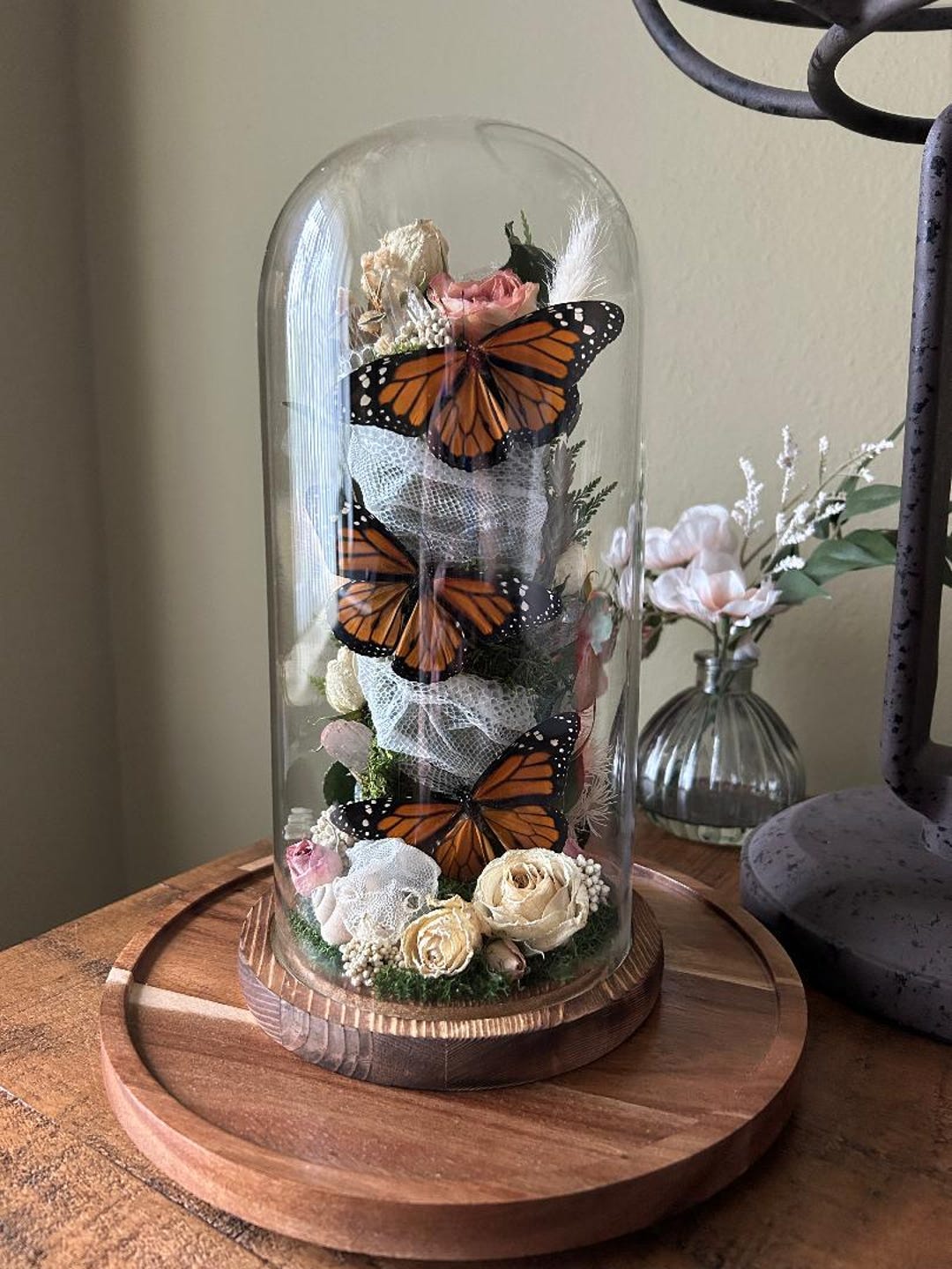 Glass Dome, Cloche, Home Decor, Curiosities, Oddities, Special Gifts ...