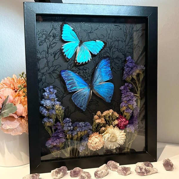 Framed Butterfly - Etsy