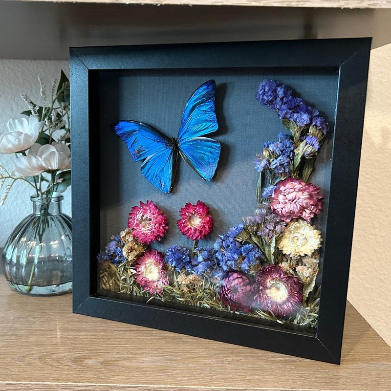 Framed Butterfly - Etsy