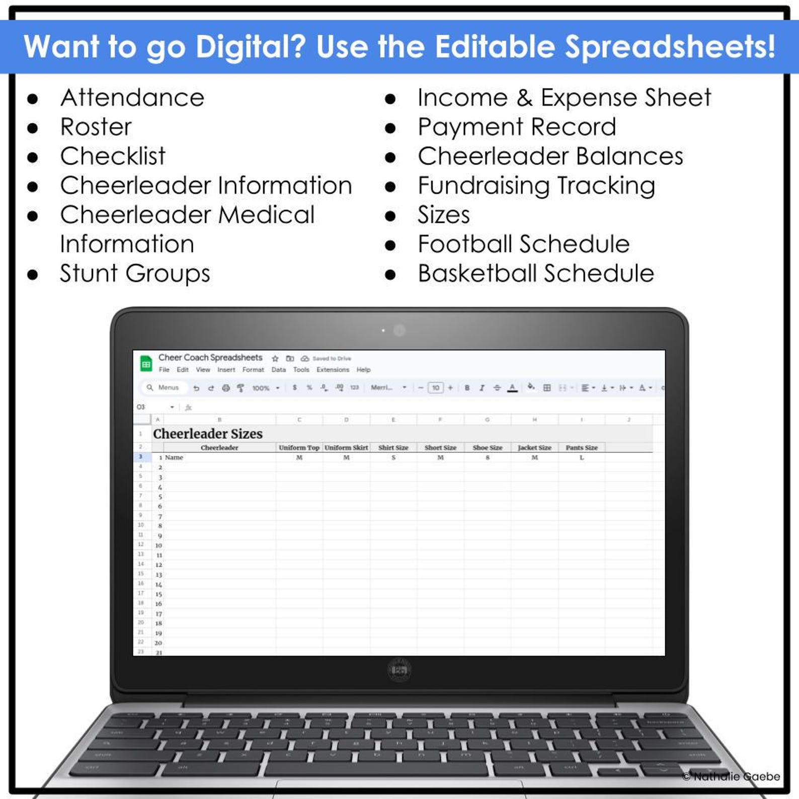 Cheer Coach Planner: Printable Binder Pages & Editable Spreadsheets - Etsy