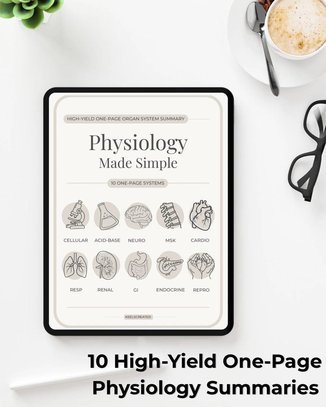 Physiology Made Simple | Medical School Physiology One Page Study Guide ...