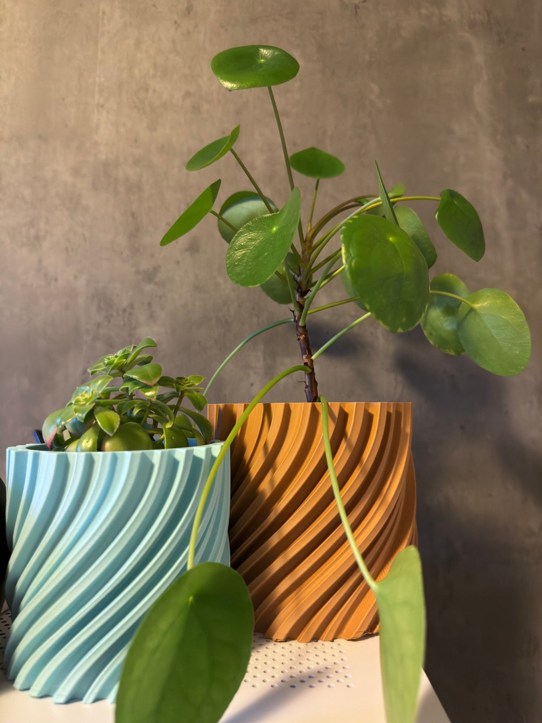 Spiral Tree Trunk Inspired Pot Choose From 10 Colors Contemporary Home ...