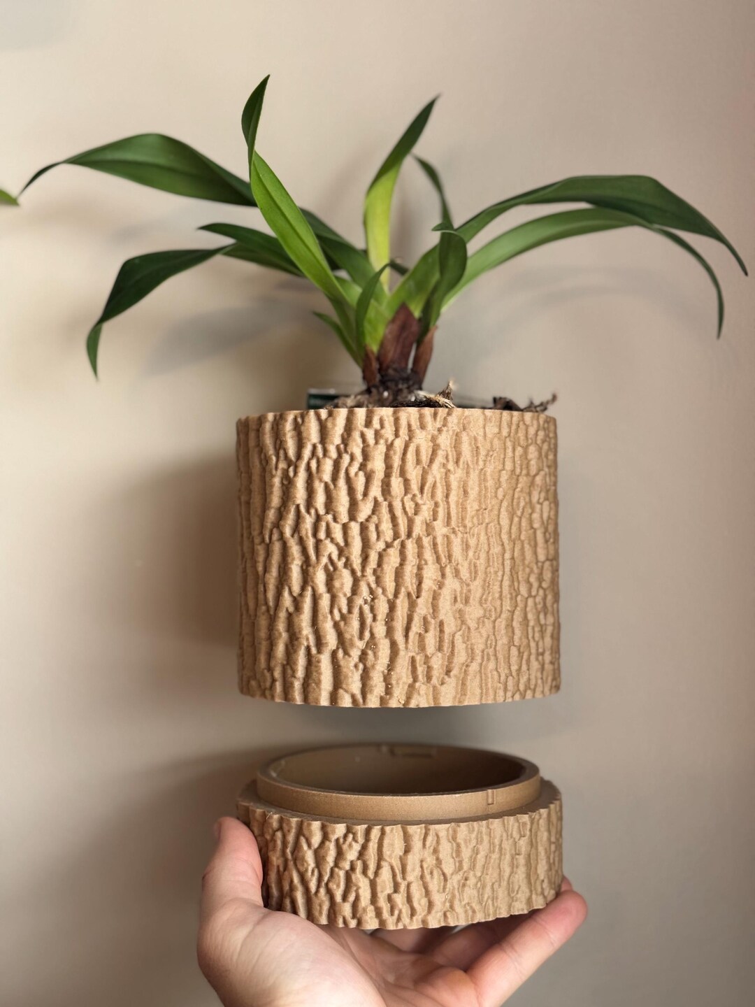 Modern Tree Bark Hanging Pot With Integrated Drip Tray - Available in ...
