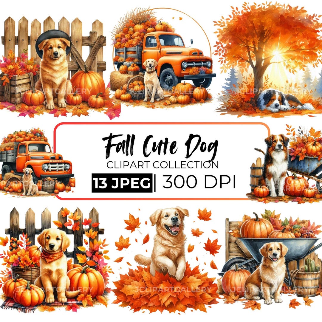 Fall Dog JPEG Clipart Bundle, Pumpkin Patch Dog Illustrations, Cute ...