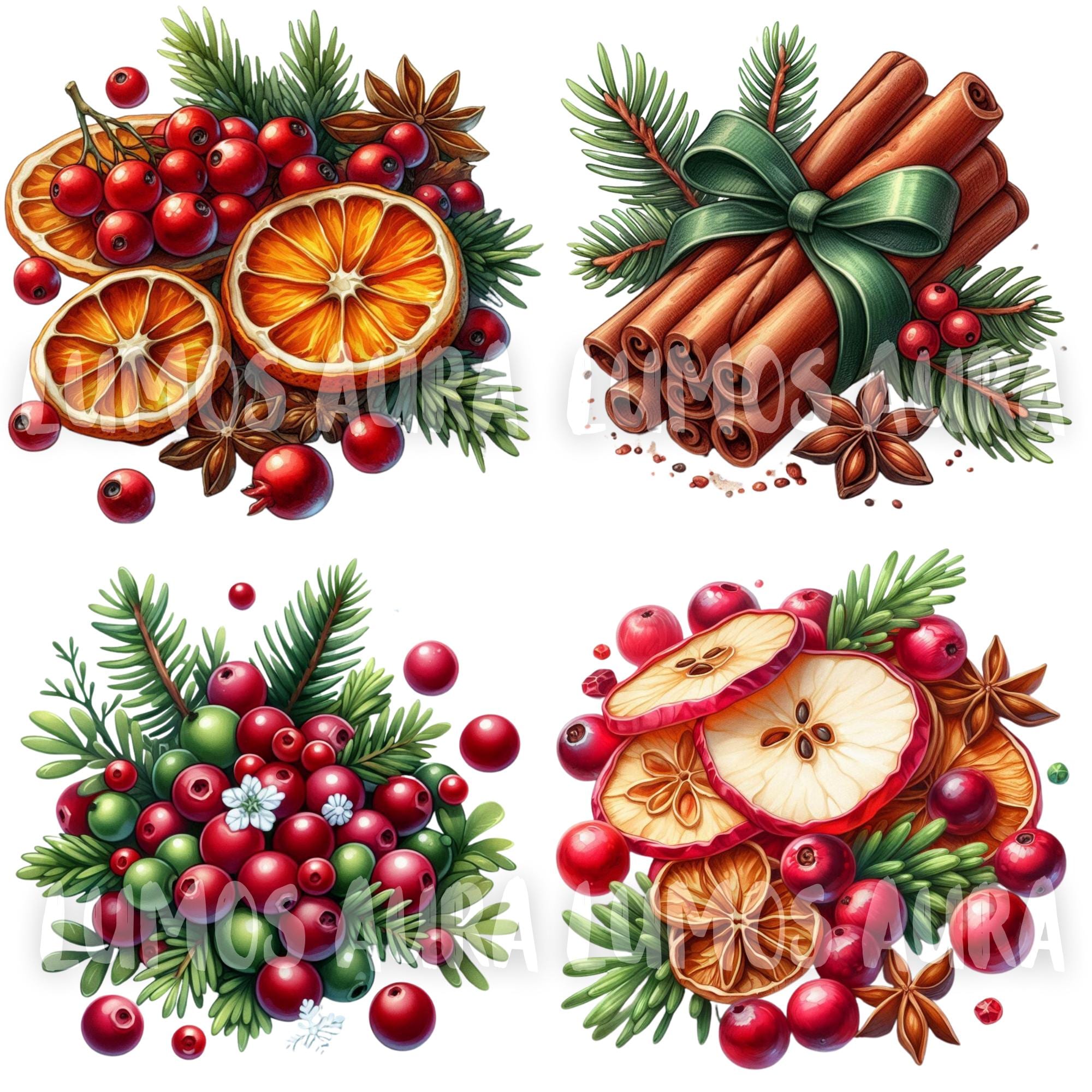 Christmas Potpourri Clipart PNG Bundle, Watercolor Clipart, Card Making ...