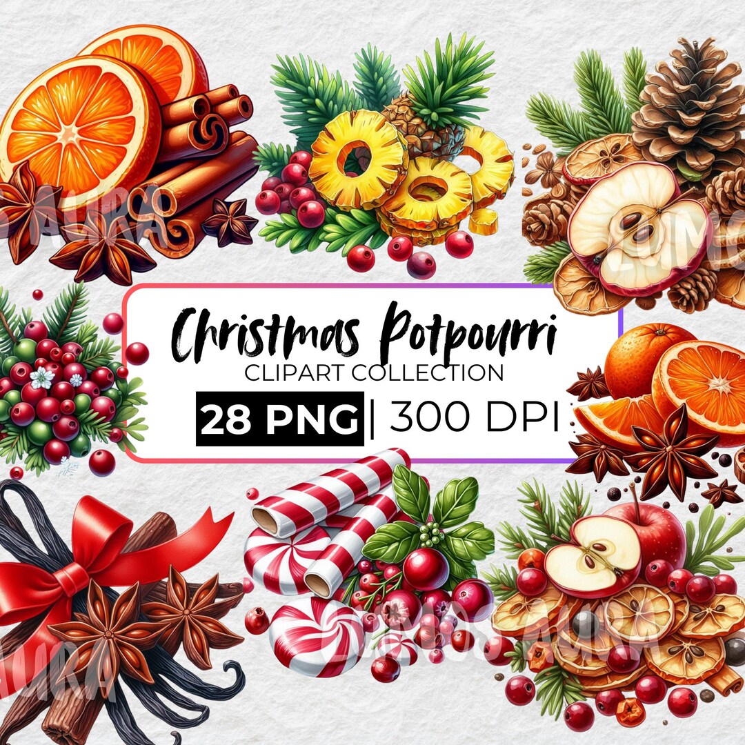 Christmas Potpourri Clipart PNG Bundle, Watercolor Clipart, Card Making ...