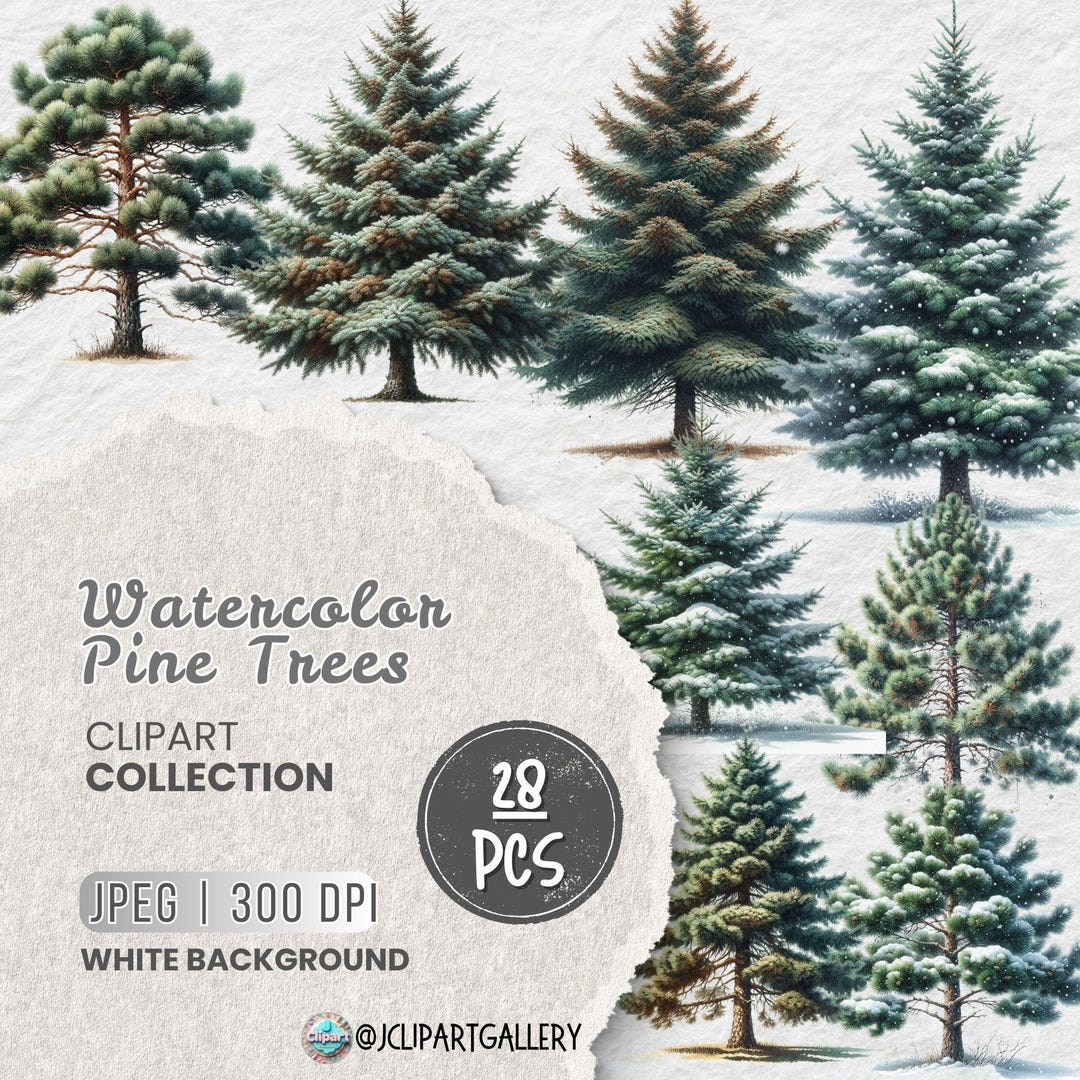 Watercolor Forest Trees Clipart, Pine Trees JPG, Pine Forest, Woodland ...