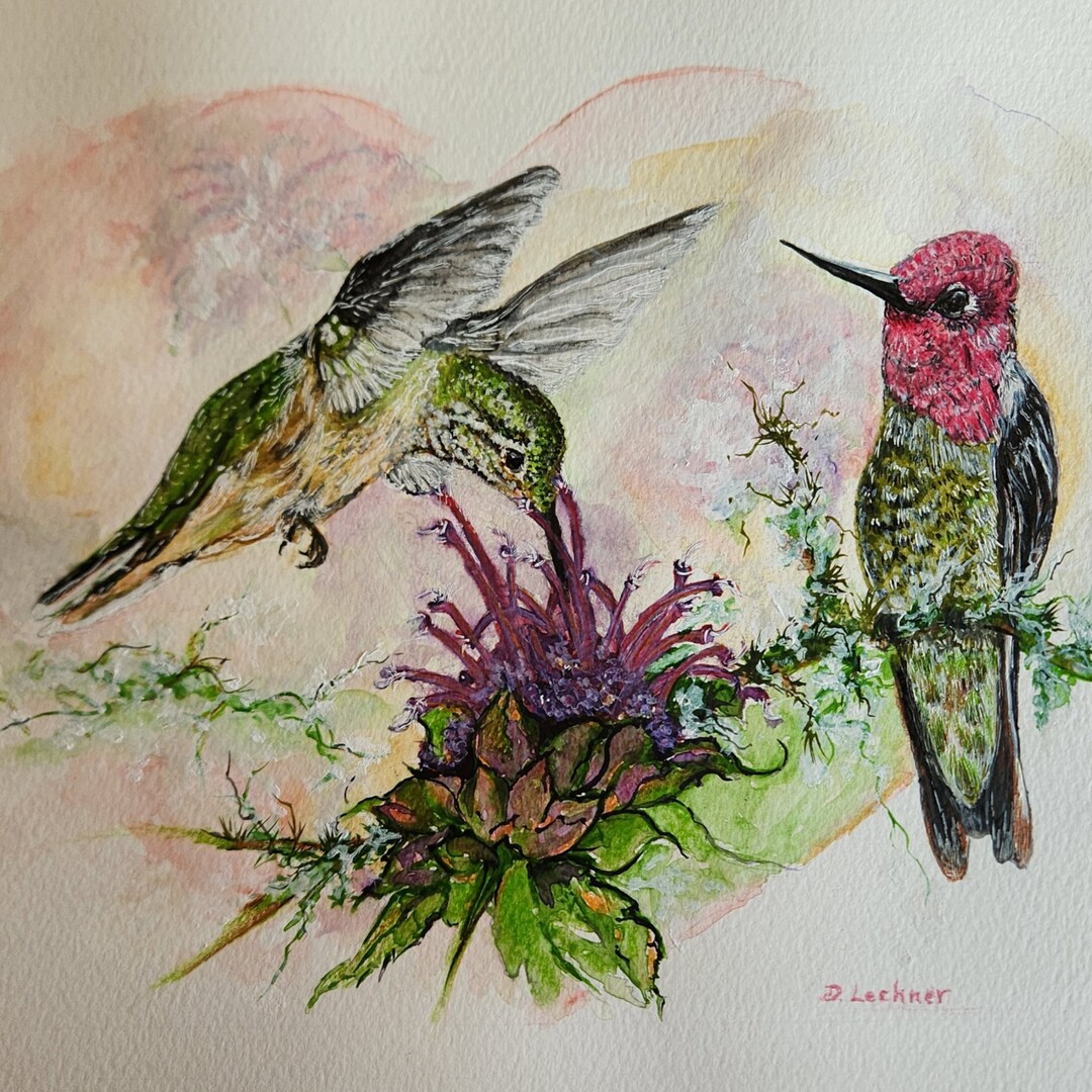 Anna Hummingbirds Instant PNG and JPG Downloads Hand Painted Watercolor ...