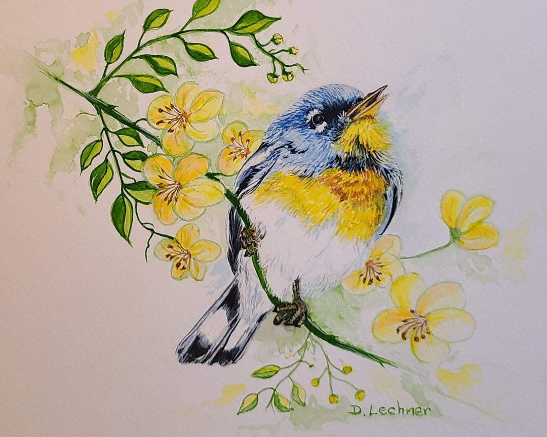 Northern Parula Warbler Instant PNG JPG Downloads Hand Painted ...