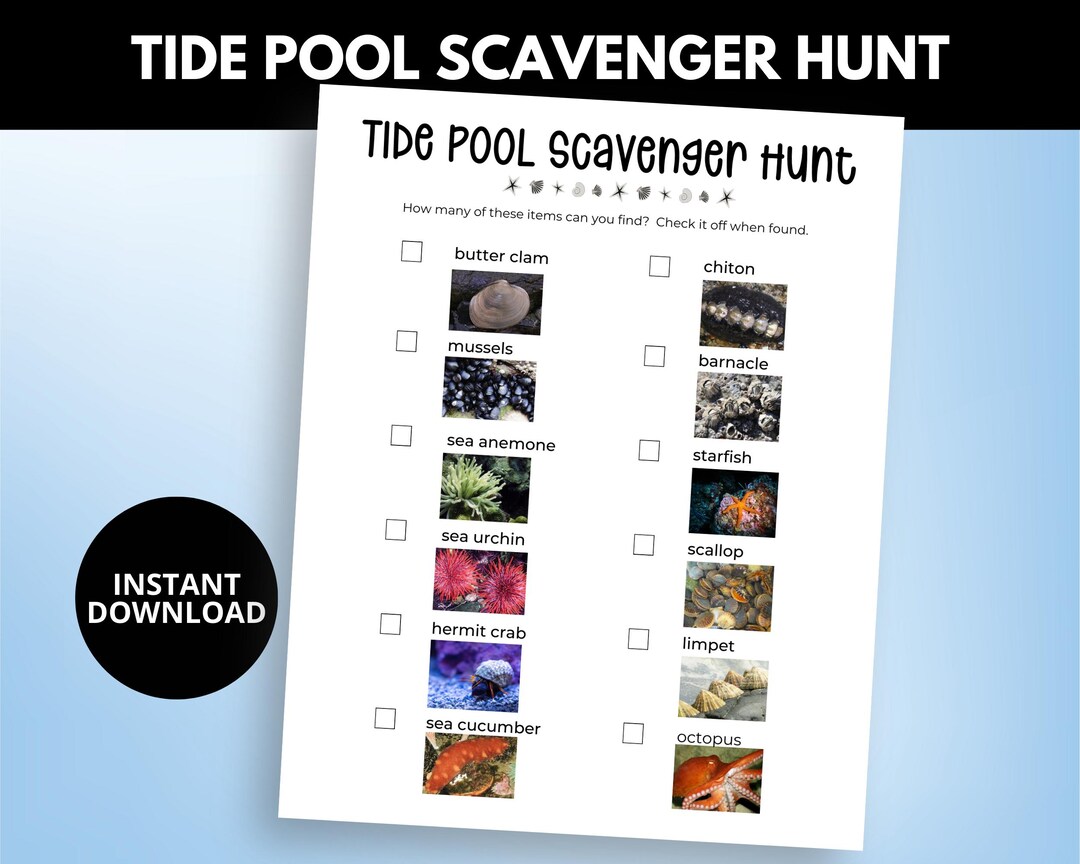 Tide Pool Scavenger Hunt Printable, Kids Beach Activity, Travel Kids ...