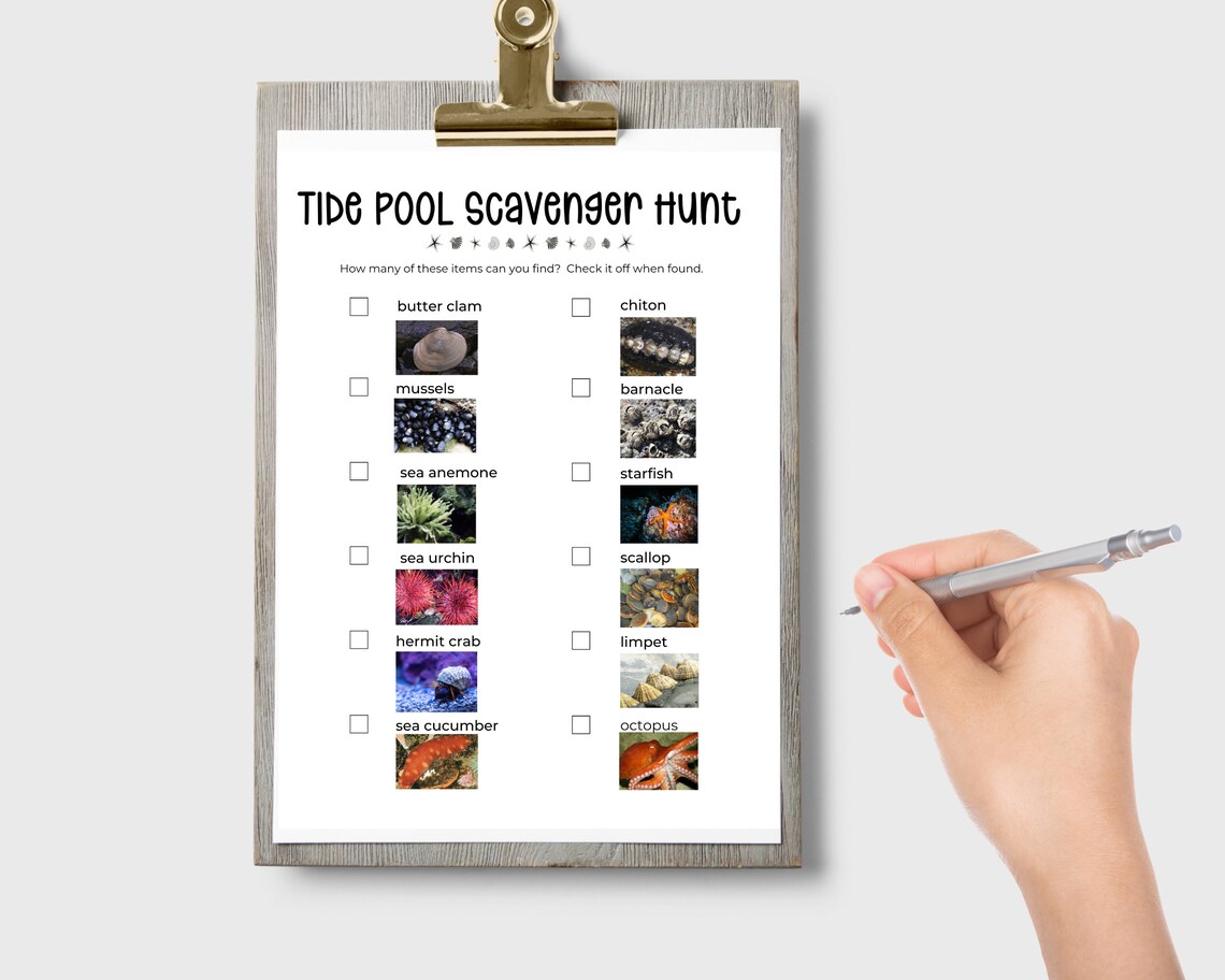 Tide Pool Scavenger Hunt Sea Shell Scavenger Hunt for Kids Beach ...