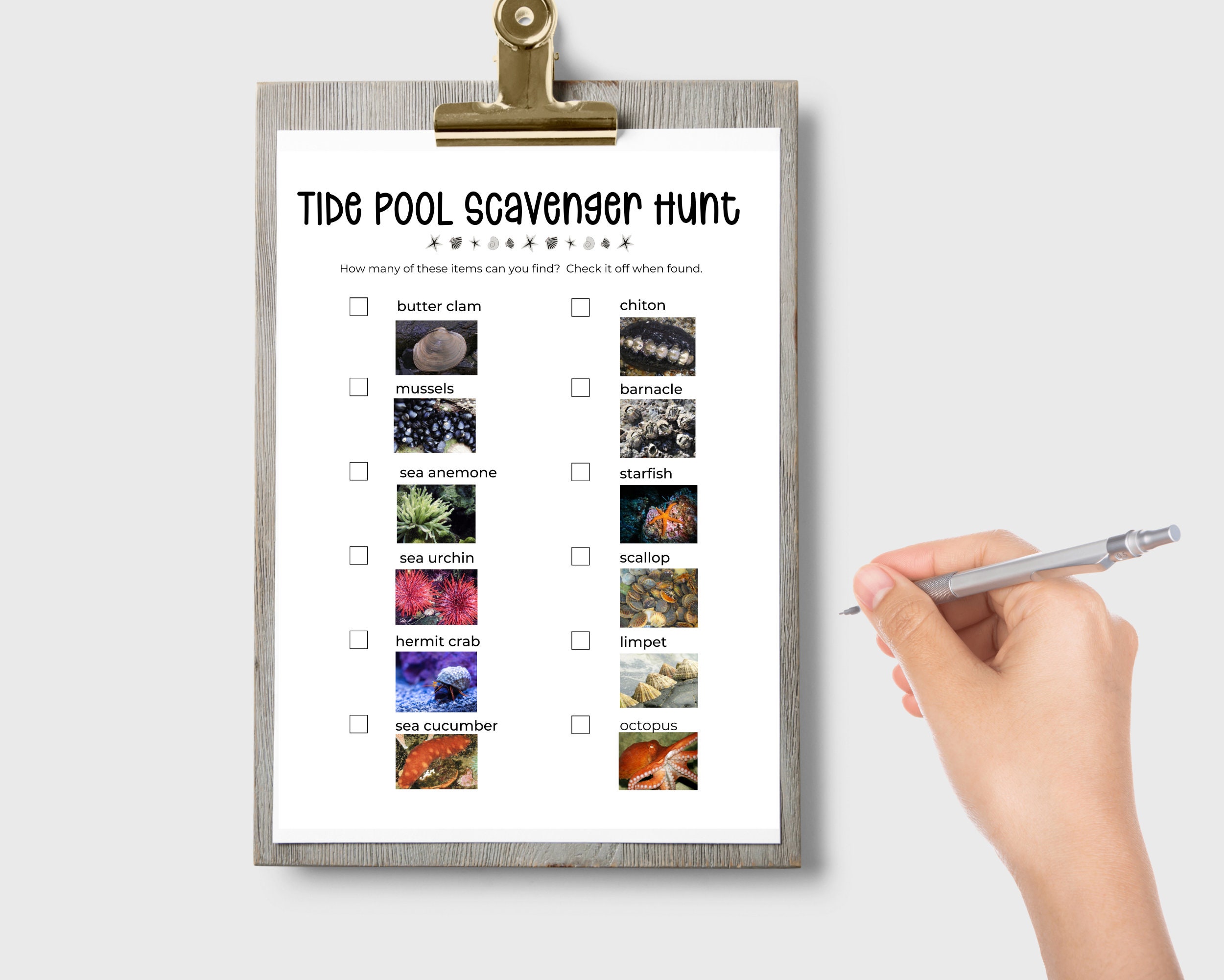 Tide Pool Scavenger Hunt Sea Shell Scavenger Hunt for Kids Beach ...