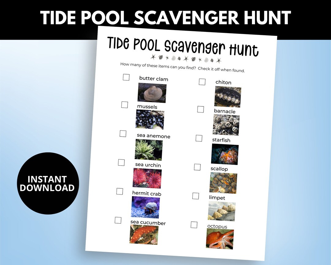 Tide Pool Scavenger Hunt Sea Shell Scavenger Hunt for Kids Beach ...