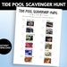 Tide Pool Scavenger Hunt Sea Shell Scavenger Hunt for Kids Beach ...