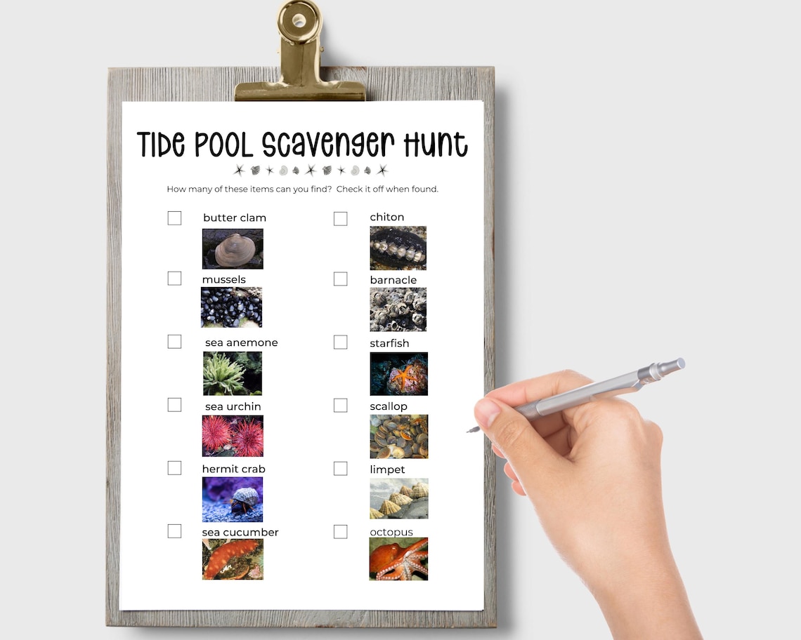 Tide Pool Scavenger Hunt Printable, Kids Beach Activity, Travel Kids ...