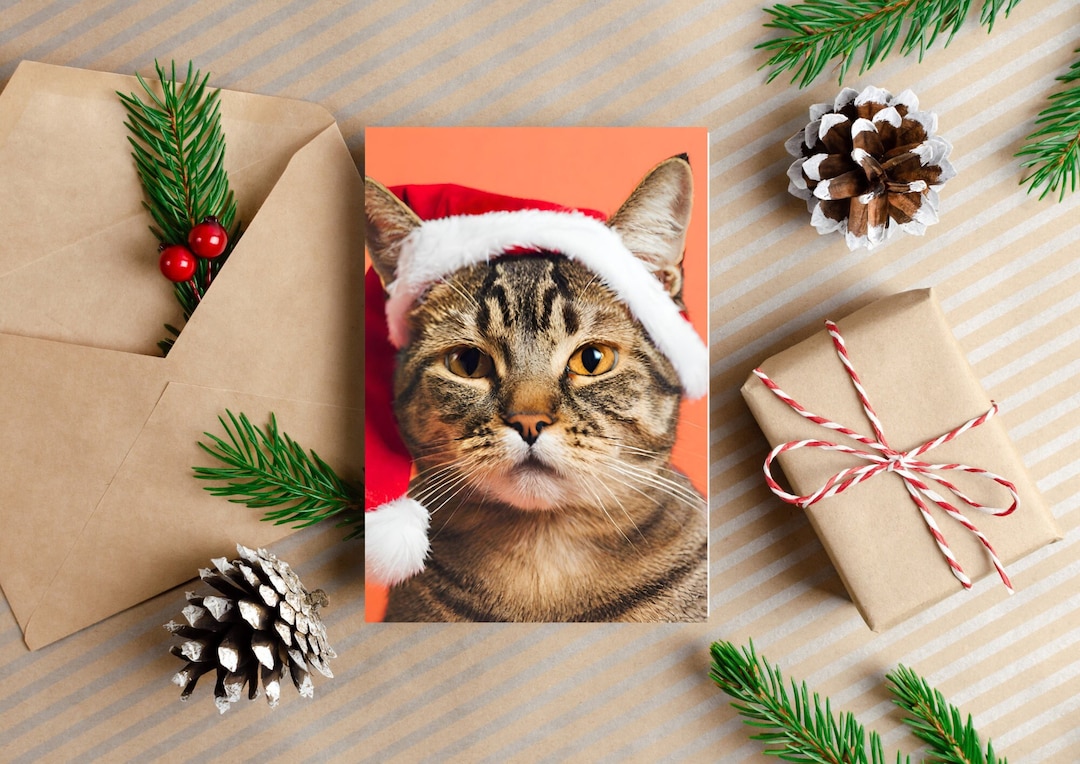 Printable Christmas Card Cat, Instant Digital Download, Merry Christmas ...