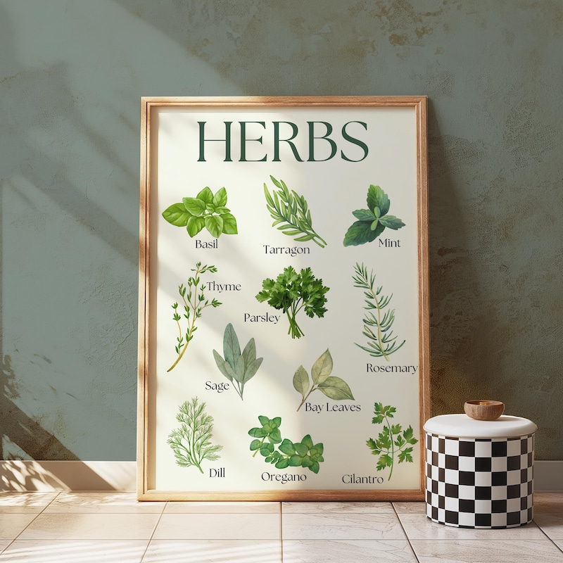 Herb Poster - Etsy