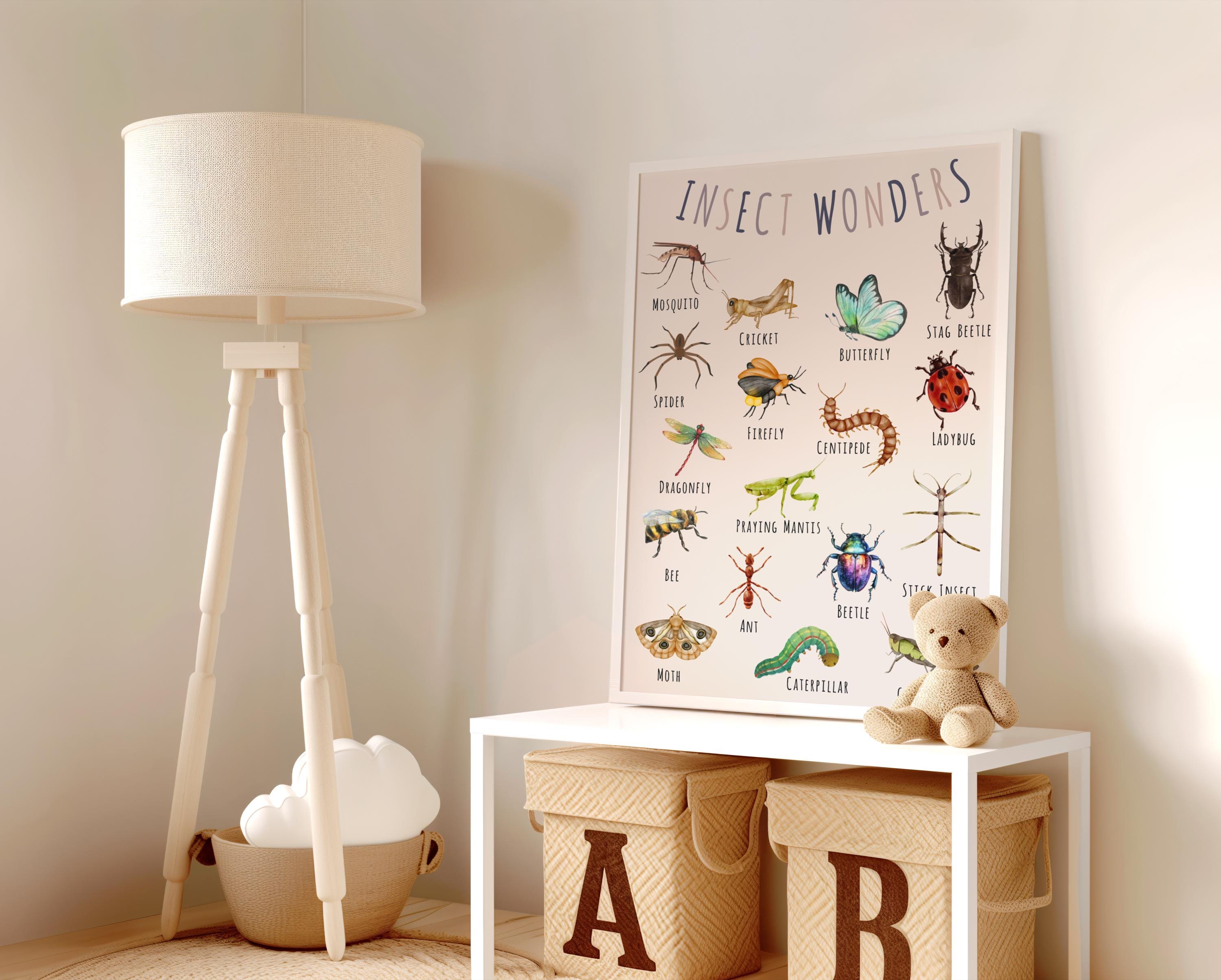 Educational Bugs Poster, Insects Poster, Nature Classroom Decor ...