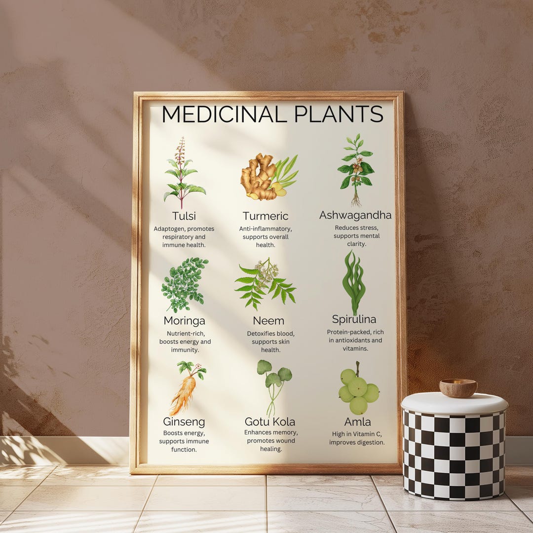 Medicinal Plants Poster: Super Healing Herbs, Natural Remedies ...
