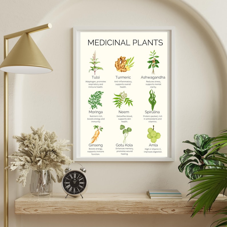 Medicinal Plants Poster 9 Super Healing Herbs for Wellness Botanical ...