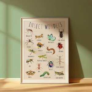 Educational Bugs Poster, Insects Poster, Nature Classroom Decor ...