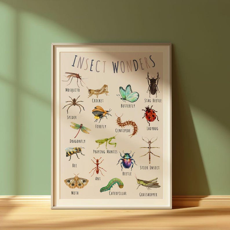 Educational Bugs Poster, Insects Poster, Nature Classroom Decor ...