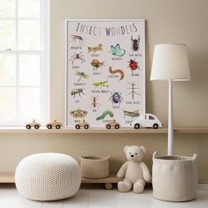 Educational Bugs Poster, Insects Poster, Nature Classroom Decor ...