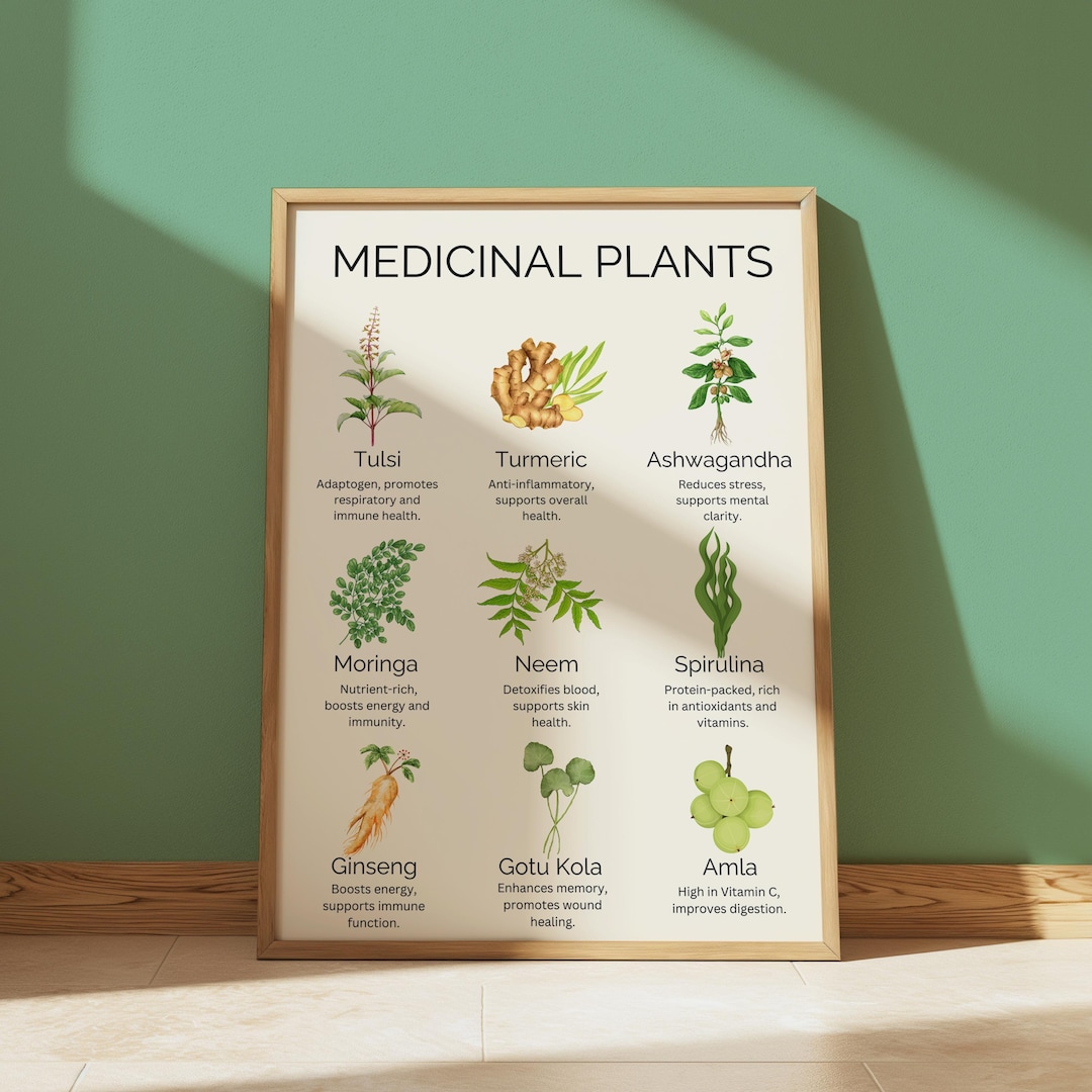 Medicinal Plants Poster | 9 Super Healing Herbs for Wellness ...