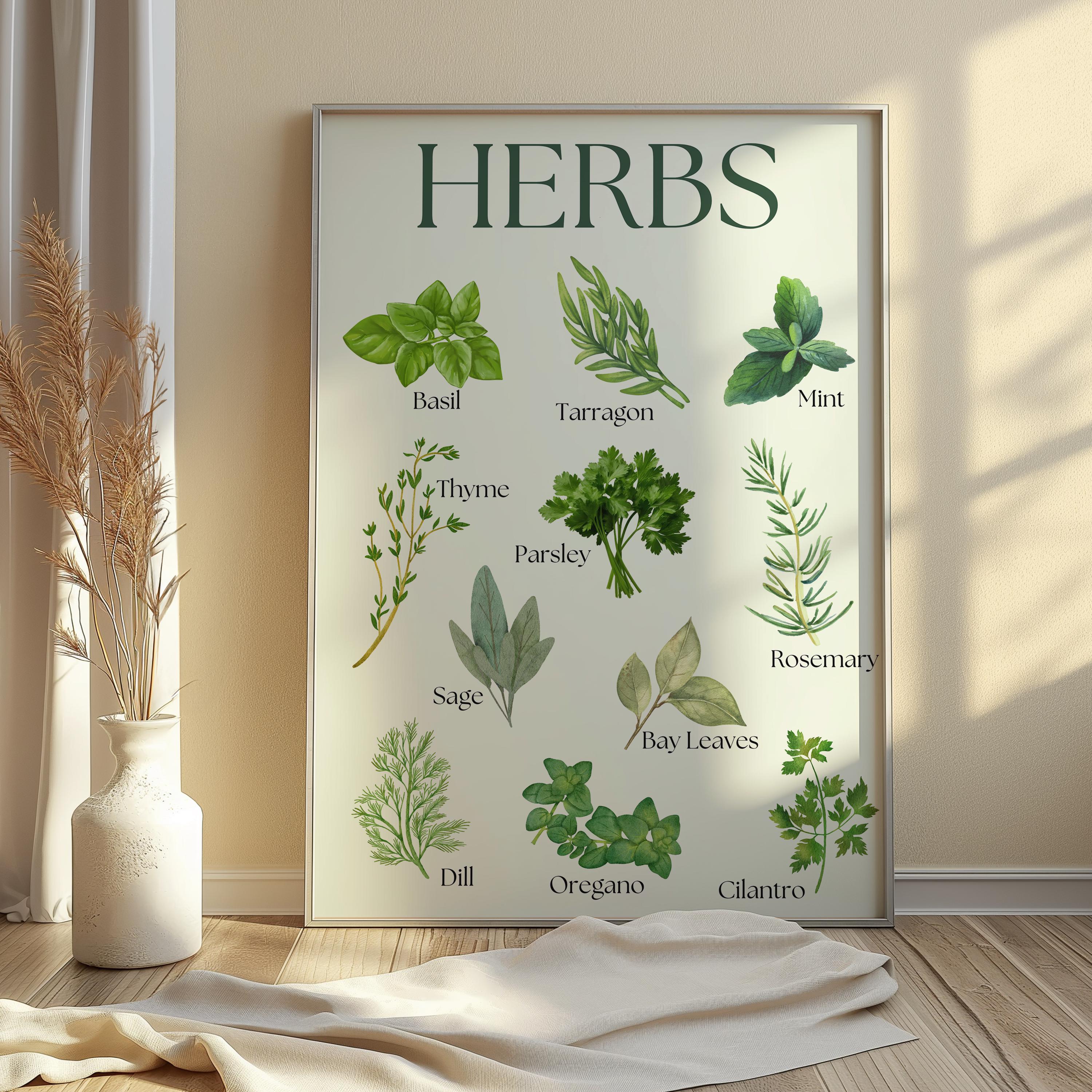 Types of Herbs Print, Herb Guide, Kitchen Wall Decor, Cottage Core Wall ...