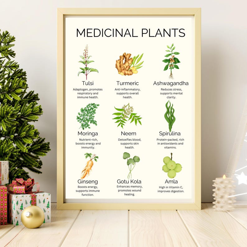 Medicinal Plants Poster 9 Super Healing Herbs for Wellness Botanical ...