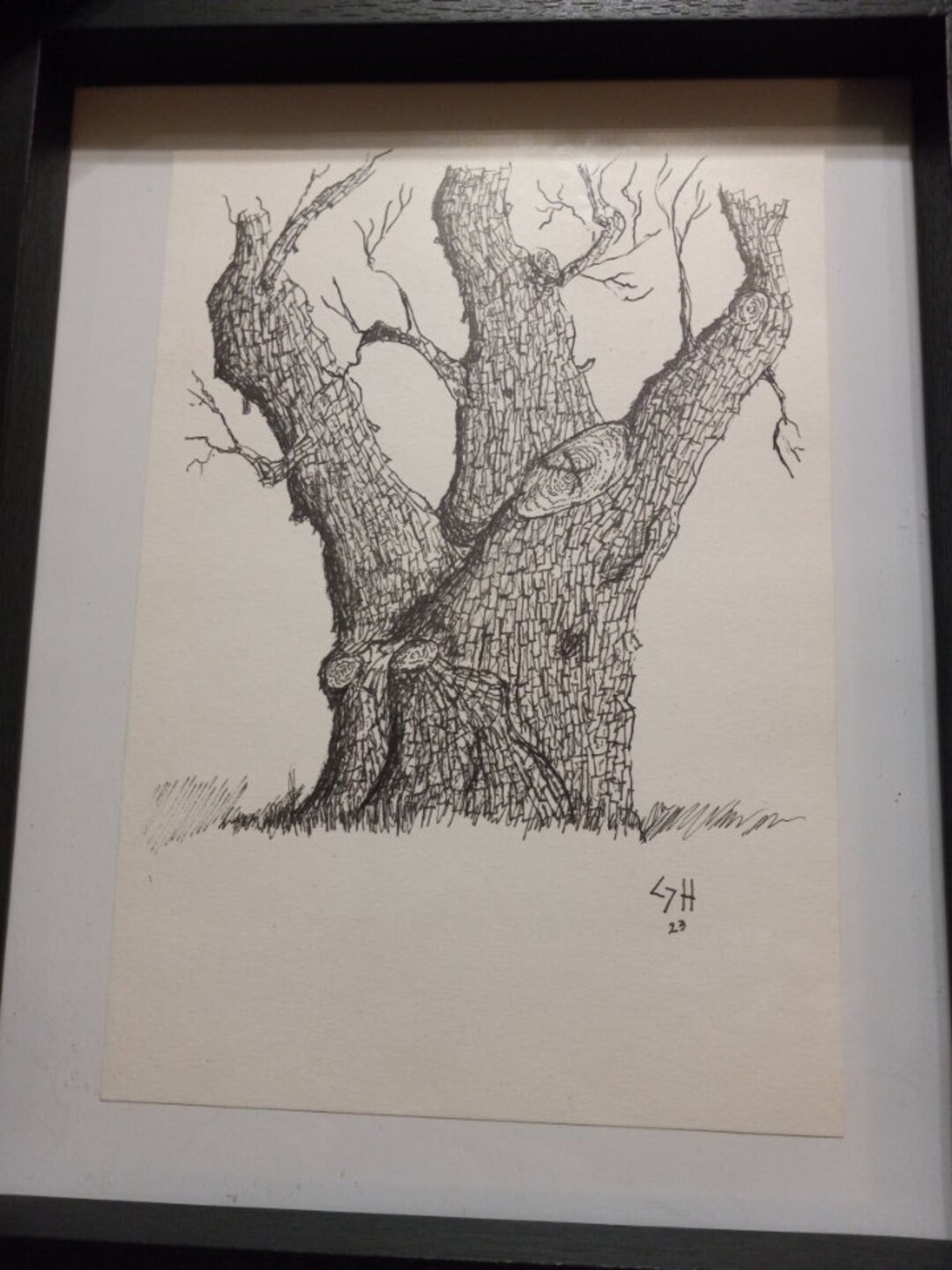 Ink Drawing old Maple by I Draw the Trees - Etsy