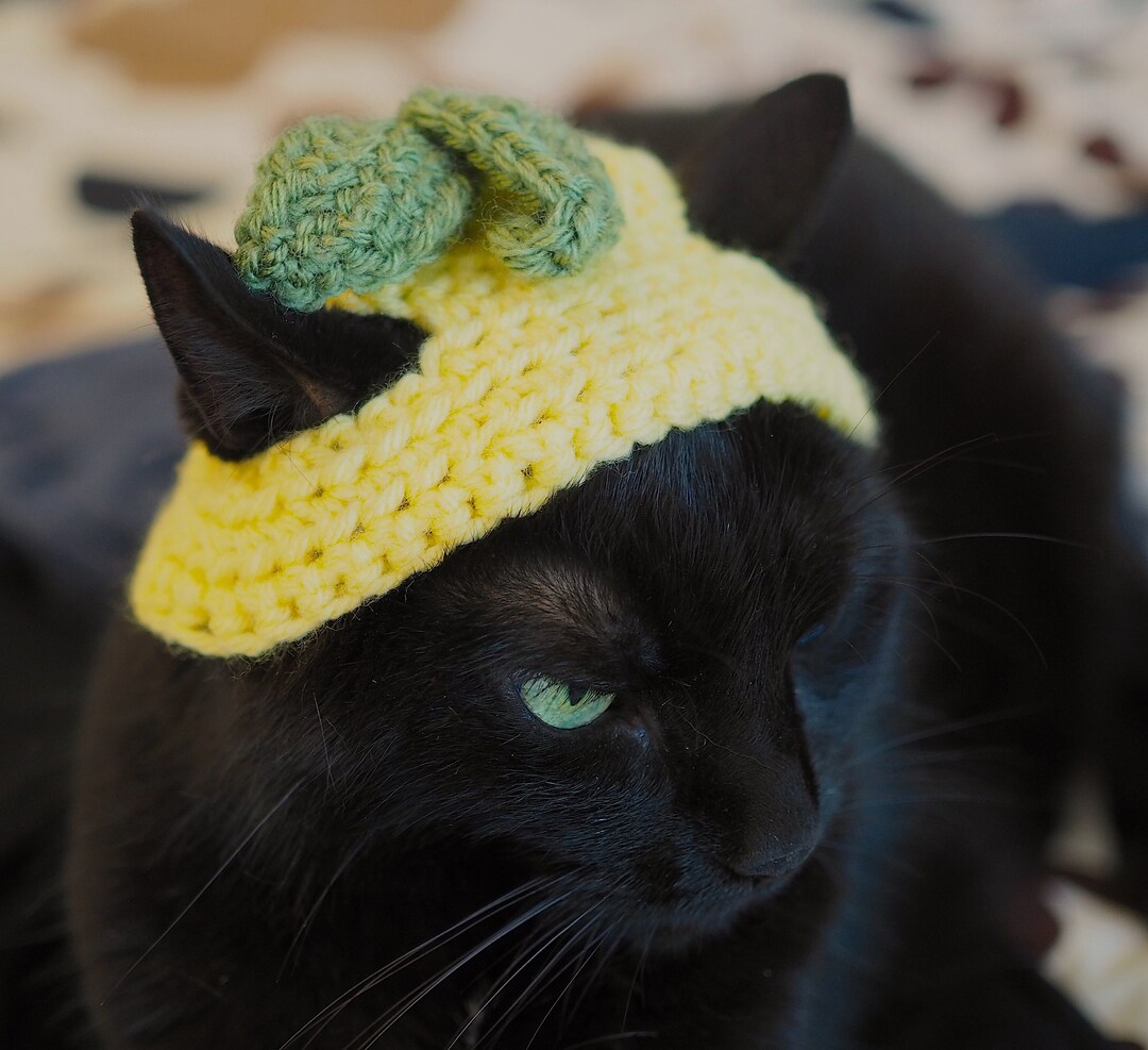 Chapeau Chat Citron | Lemon Cat Hat - Etsy